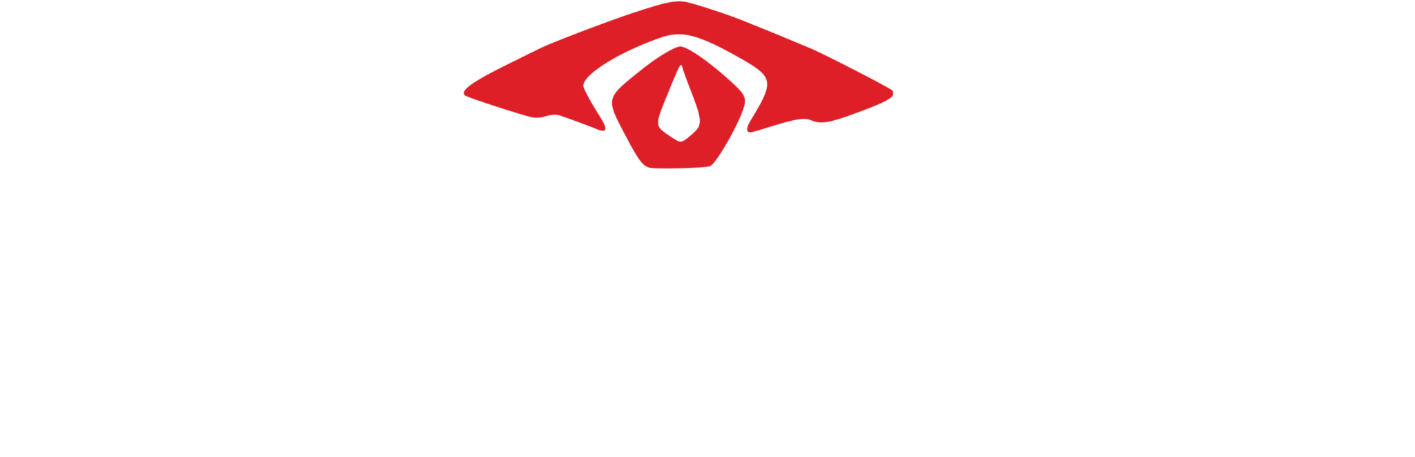 History - Camphill Dialogue